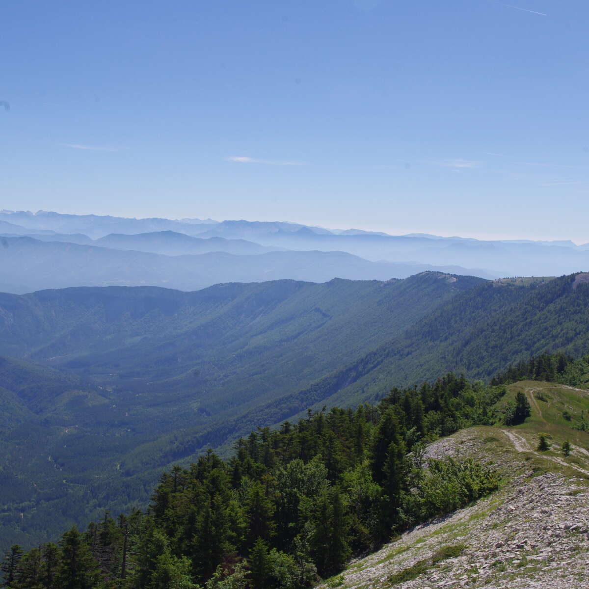 Montagne de Lure | Provence-Alpes-Côte d'Azur Tourisme