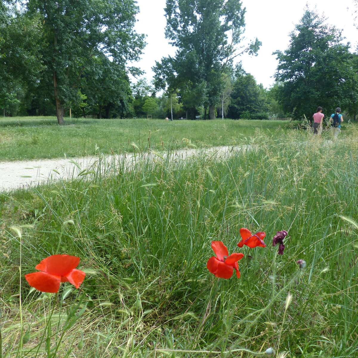 Visiter Chatou