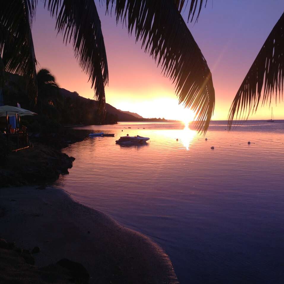 Tasting the juices and spirits of Moorea | Tahiti Tourisme: Welcome to ...