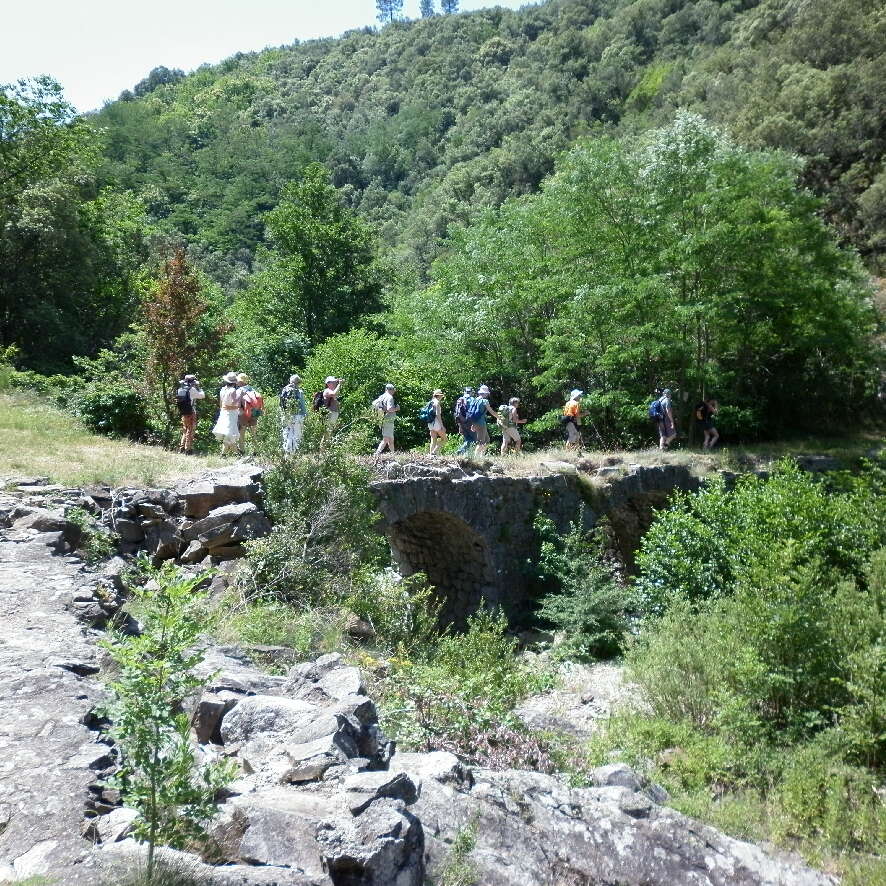 Randonnée pédestre en Cévennes | Cévennes Tourisme