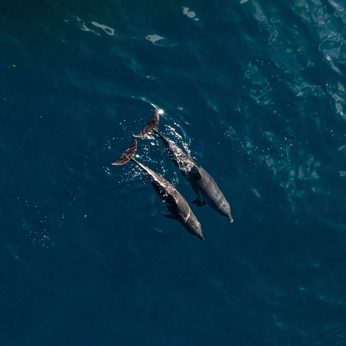 Phare Amédée : Un îlot emblématique en Nouvelle-Calédonie