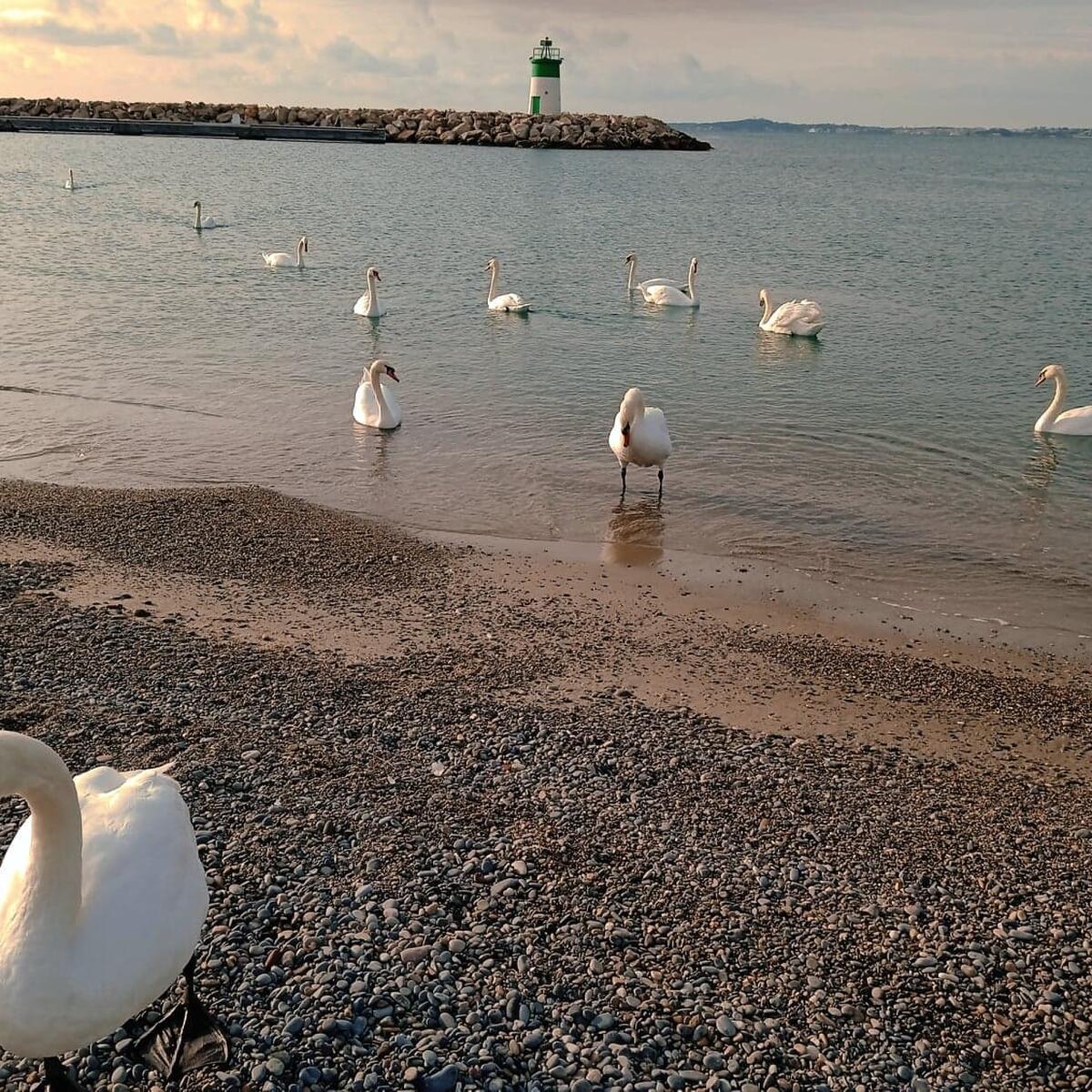 Plage Vespins – Plage du Port (Saint-Laurent-du-Var) | Destination Côte ...