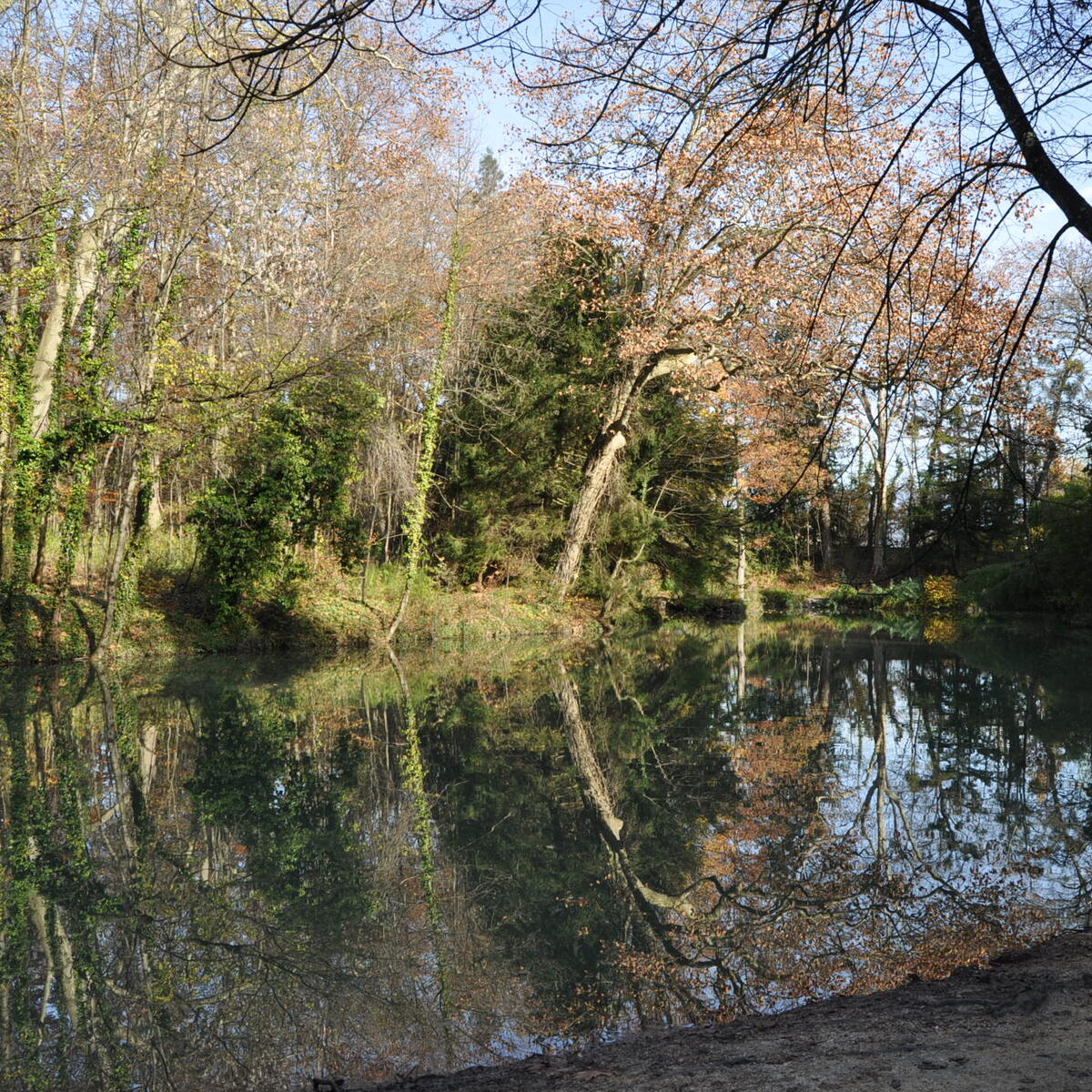 Le parc des Etangs (Meylan) | Site Officiel de la Chartreuse en Savoie ...