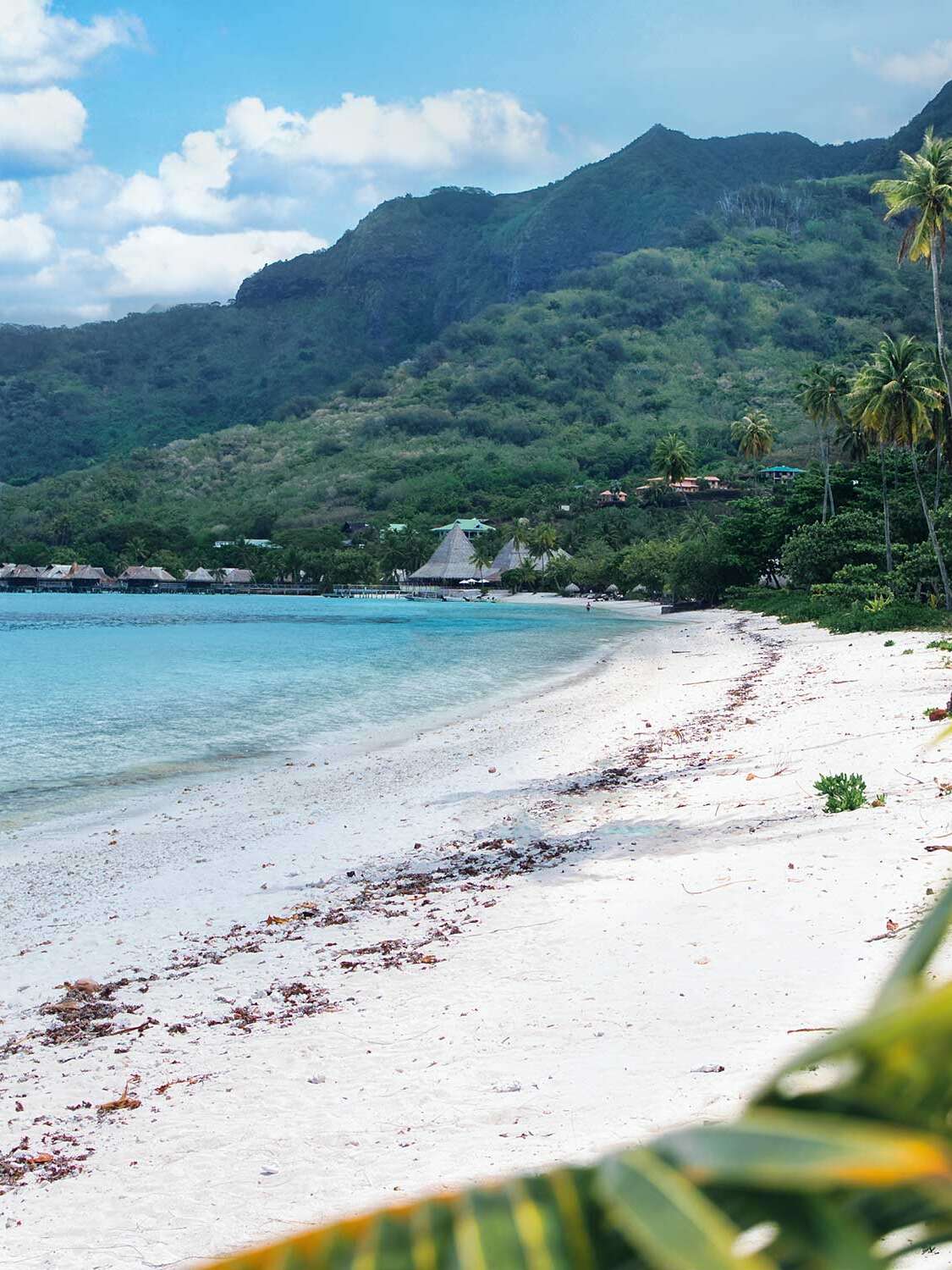 Underwater exploration | Tahiti Tourisme: Welcome to the official ...