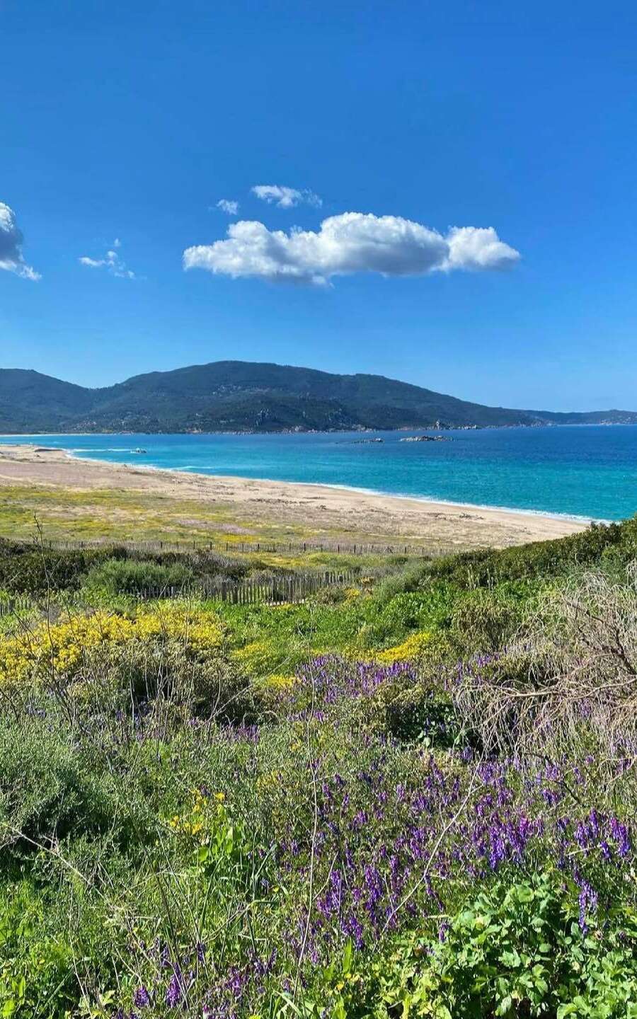 Valinco | Office de Tourisme de Propriano, Sartène dans le Sartenais Valinco Taravo