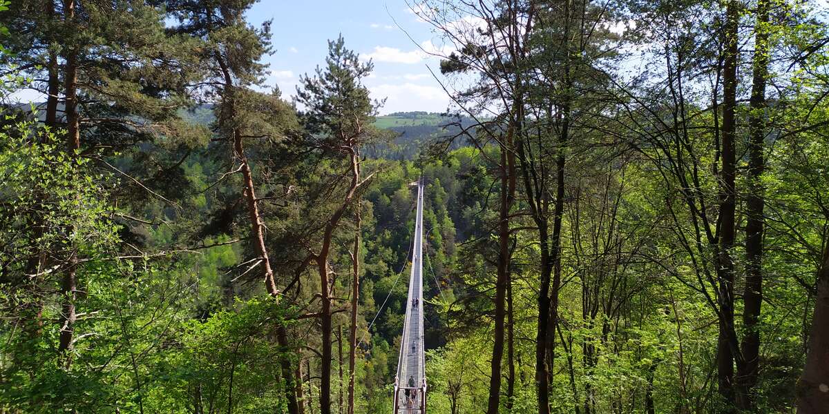 Passerelle des gorges du Lignon | Office de tourisme du Haut-Lignon ...