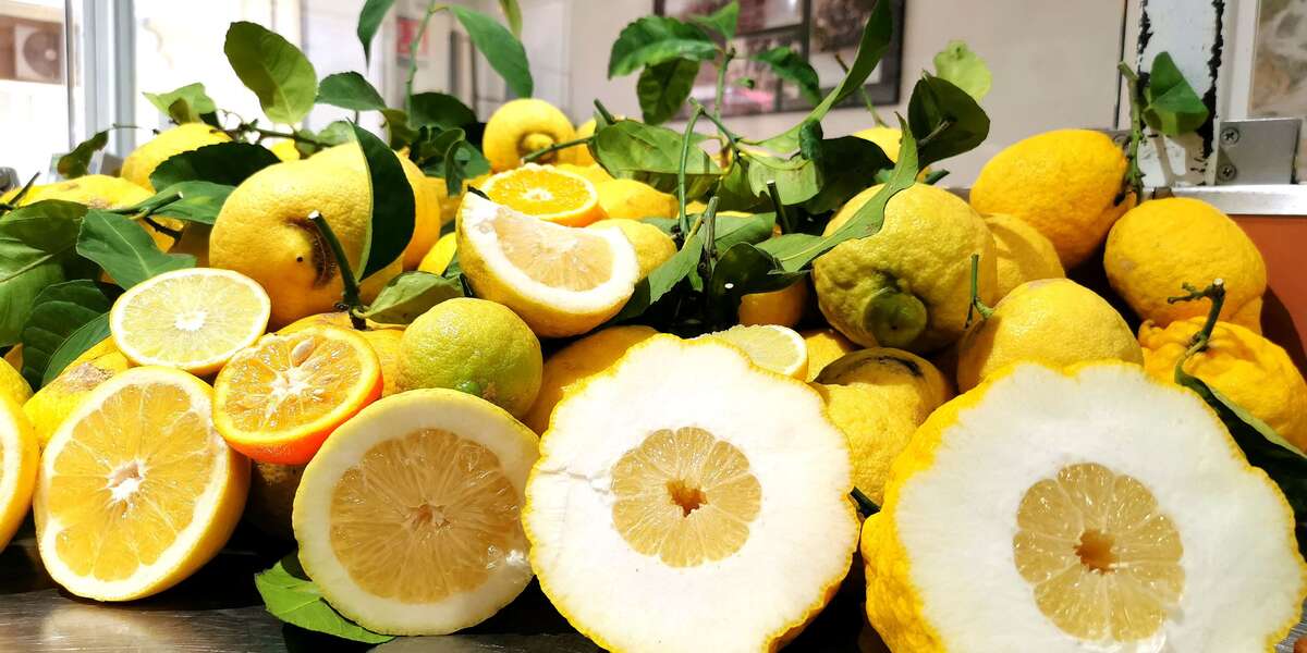 Festa del limone (Fête du Citron®) | L'ufficio del Turismo Mentone ...