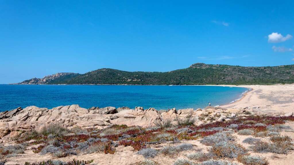 Les plus belles plages de Corse du Sud | Office de Tourisme de ...