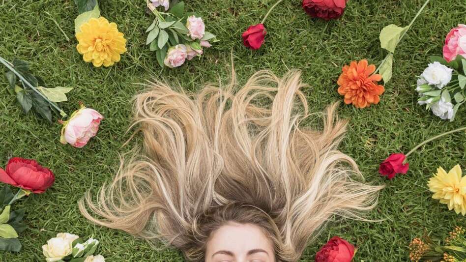 Avignon, terre de culture(s) 2025, faites le plein de curiosités ...