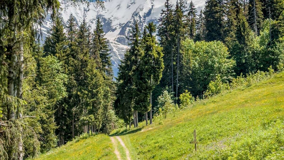 Télécabine de l’Alpin – Saint-Gervais/Le Bettex | Saint-Gervais Mont ...