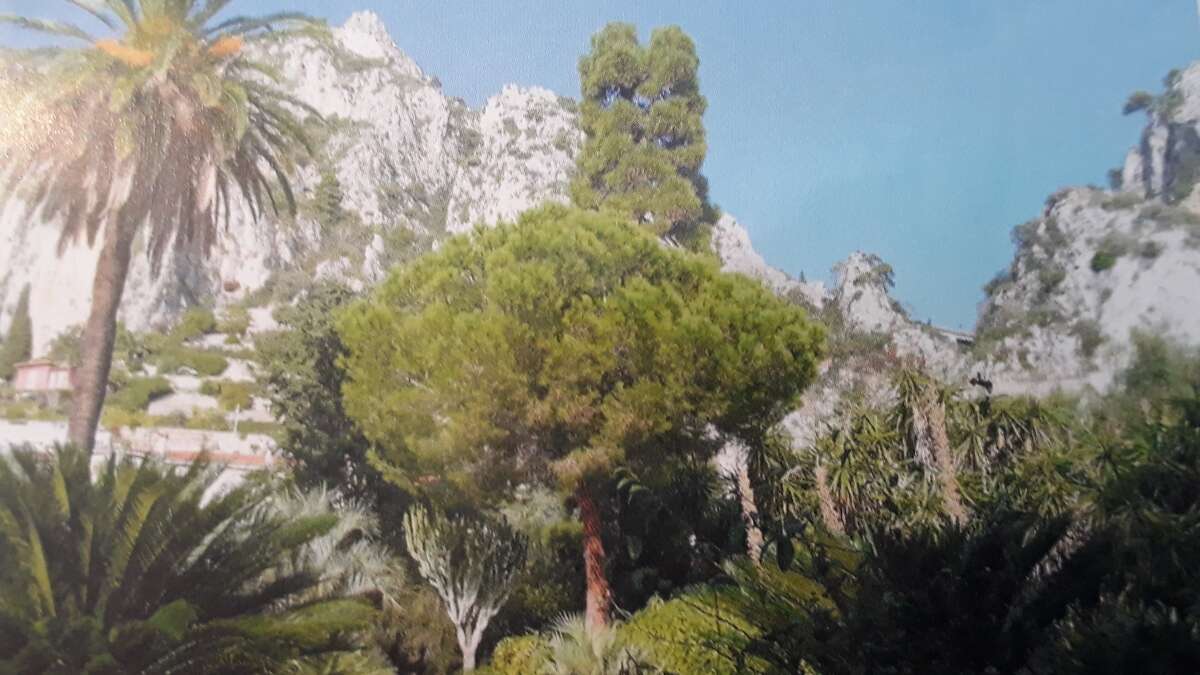 Le grotte di Grimaldi o Balzi Rossi (Menton) | L'ufficio del Turismo ...