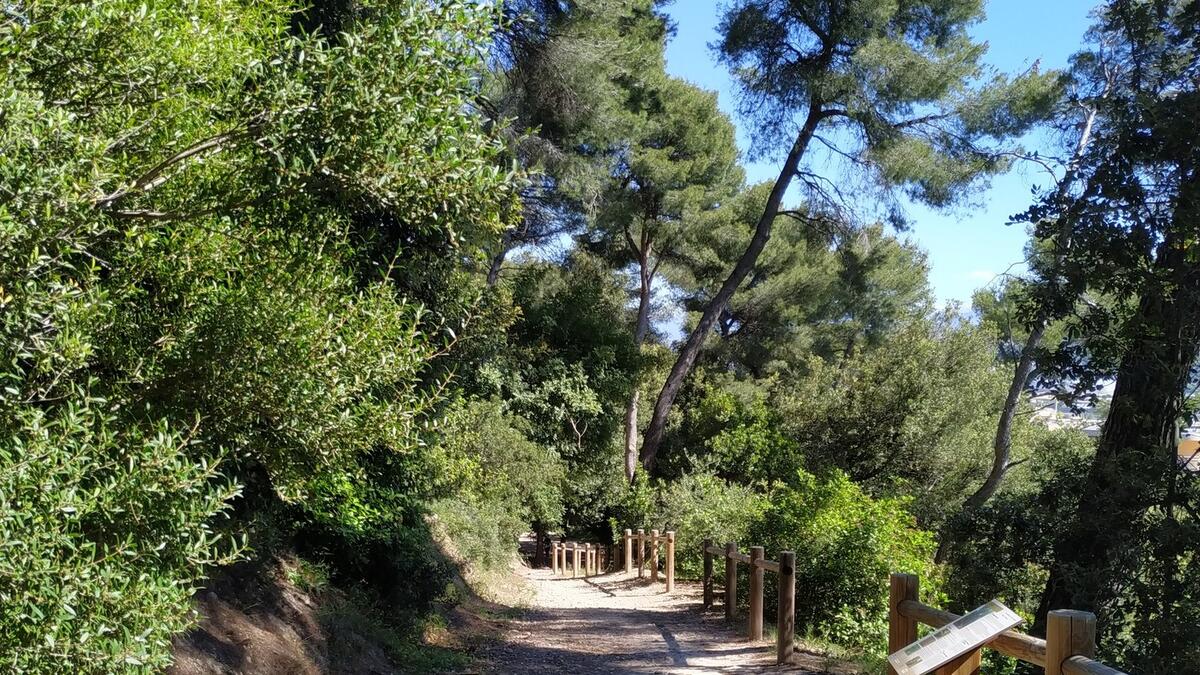 Forêt des Pugets (Saint-Laurent-du-Var) | Provence-Alpes-Côte d'Azur ...