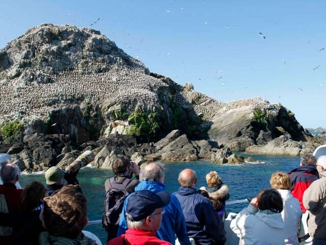 L’archipel des 7 Iles | Office de Tourisme de la Côte de Granit Rose