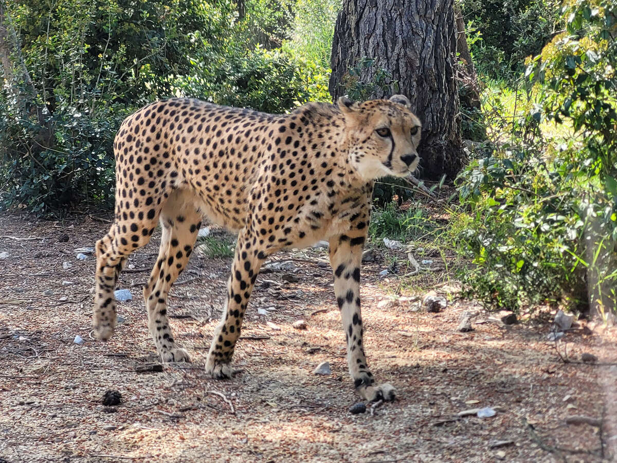 Top 20 des balades nature à Montpellier | Montpellier Tourisme