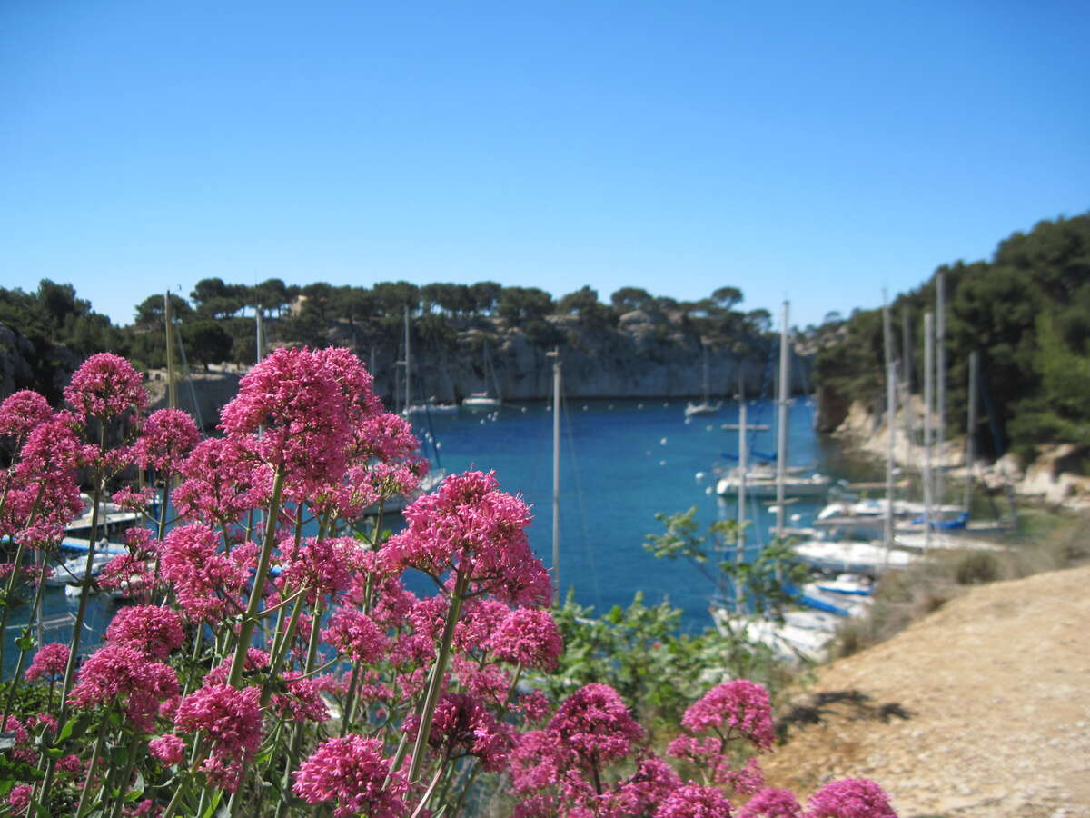 Visiter Cassis | Office de Tourisme de Marseille