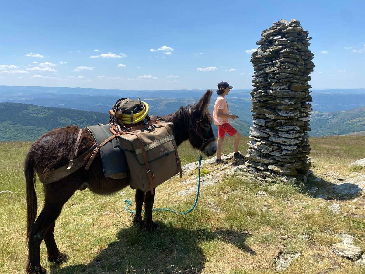 Balade avec un âne dans les Cévennes Randonner avec un âne | Cévennes ...