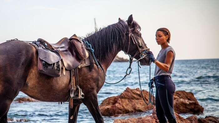 Se promener à Tizzano | Office de Tourisme de Propriano, Sartène dans le Sartenais Valinco Taravo