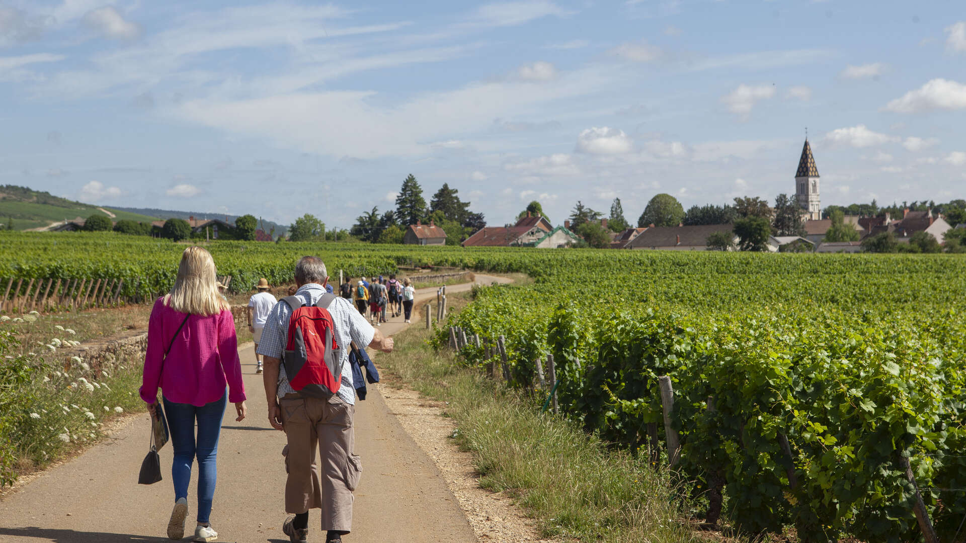 Vignoles | Beaune et le Pays Beaunois Tourisme – Bourgogne