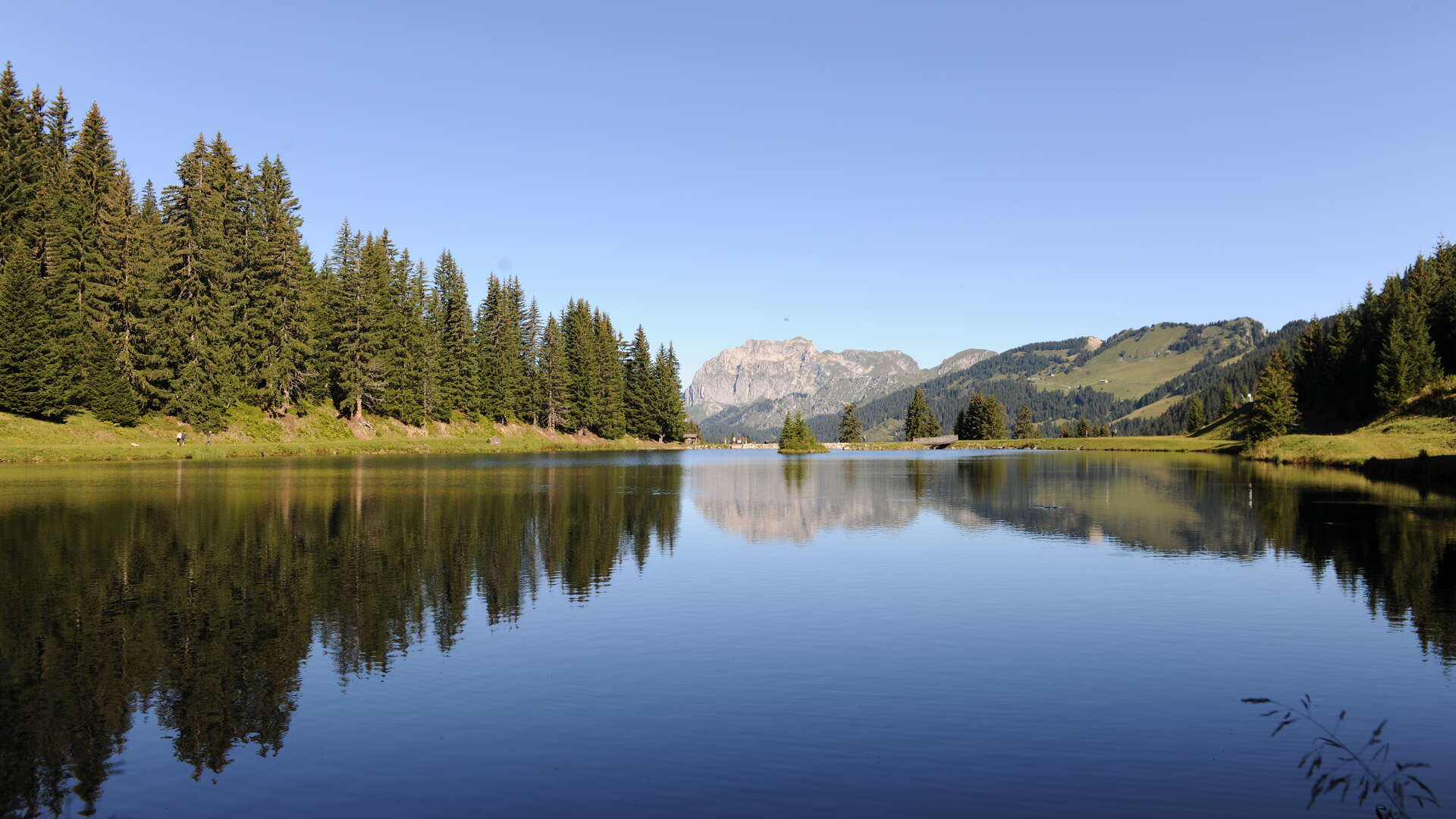 Torgon : Swiss ski resort, small family village | Portes du Soleil