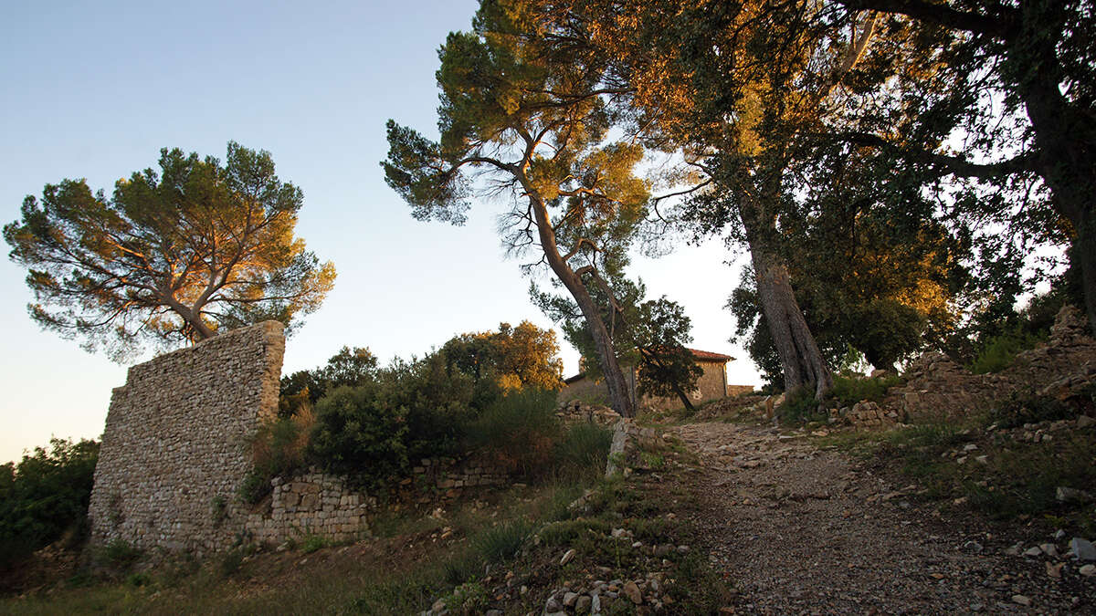 Carnoules (83) : tourisme dans le Var | Provence-Alpes-Côte d'Azur Tourisme