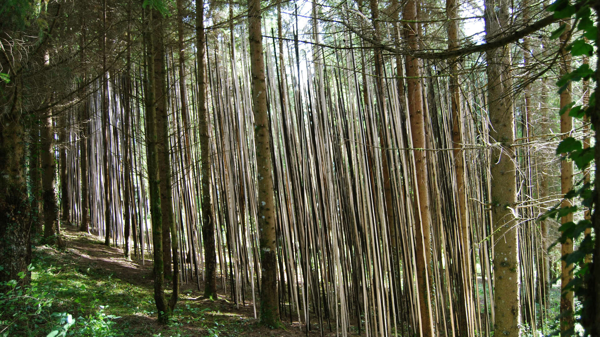 La ferme de Chosal (Copponex) | Haute-Savoie Mont-Blanc