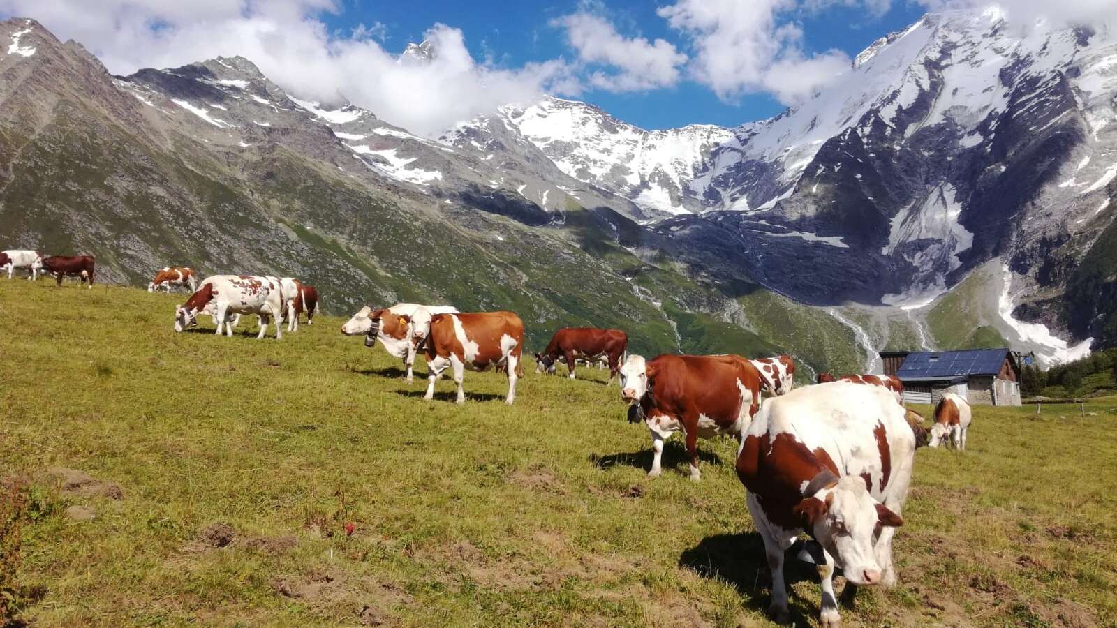 Refuge de Miage | Saint-Gervais Mont-Blanc