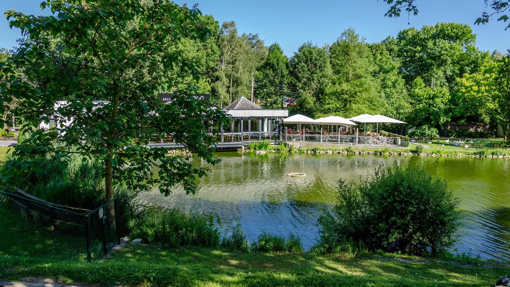 Pêche en étang – Waremme (Waremme) | Maison du Tourisme Terres-de-Meuse