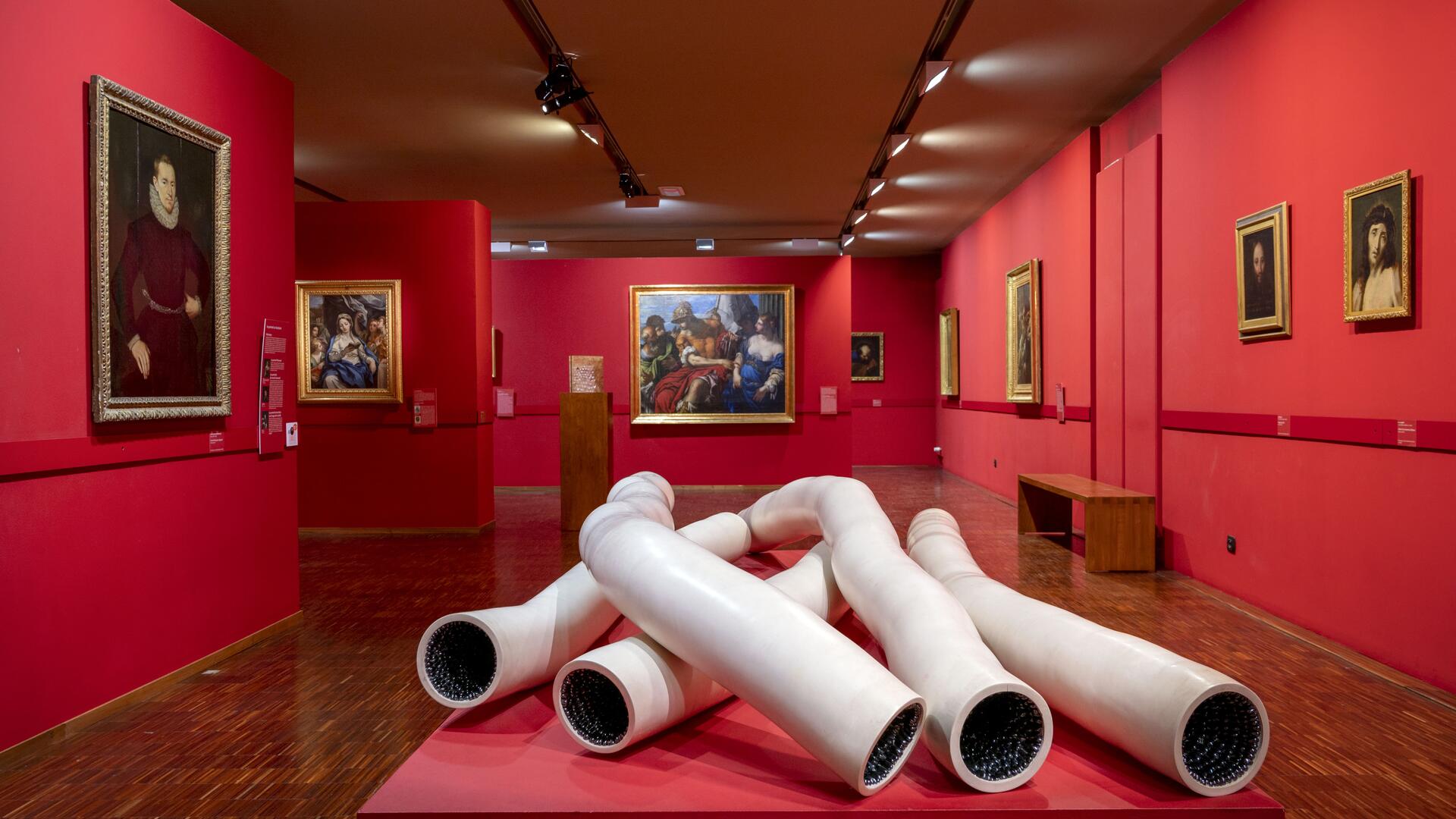 Musée Gassendi (Digne-les-Bains) | Provence-Alpes-Côte d'Azur Tourism