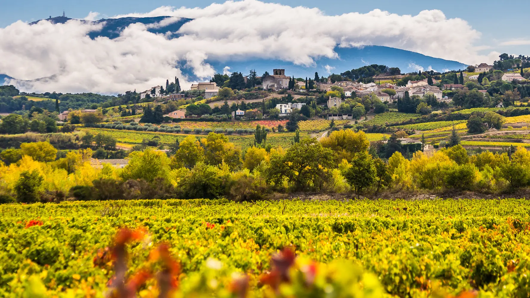 Village de Villedieu (Villedieu) | Provence-Alpes-Côte d'Azur Tourisme