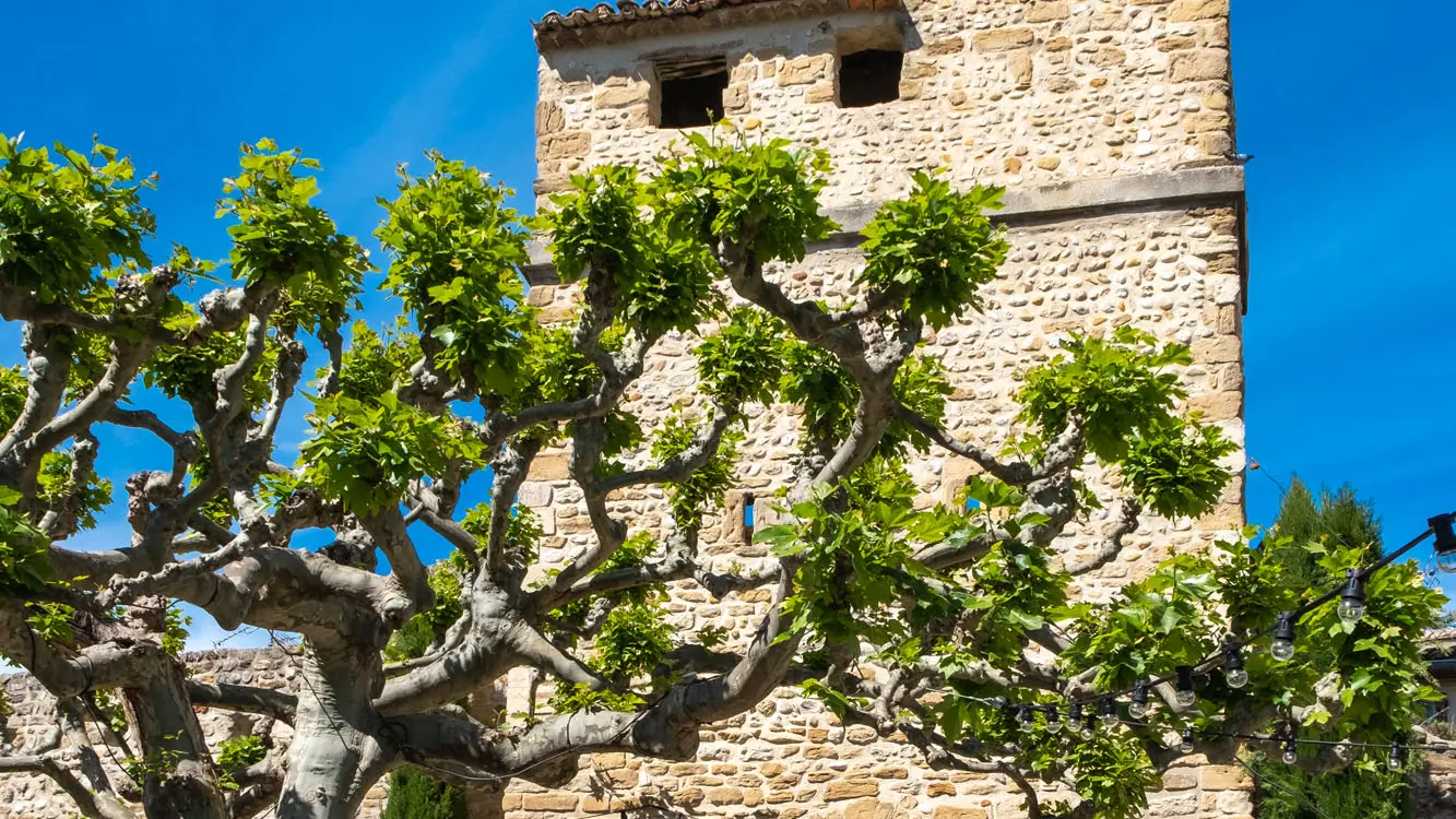 Village de Villedieu (Villedieu) | Provence-Alpes-Côte d'Azur Tourisme