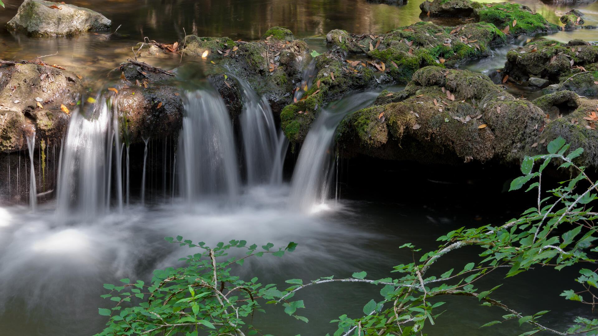 Parc naturel départemental de La Brague (Biot) | Destination Côte d ...