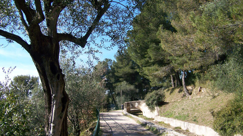 Sentier du Canal de Gairaut (Nice) | Destination Côte d’Azur France ...