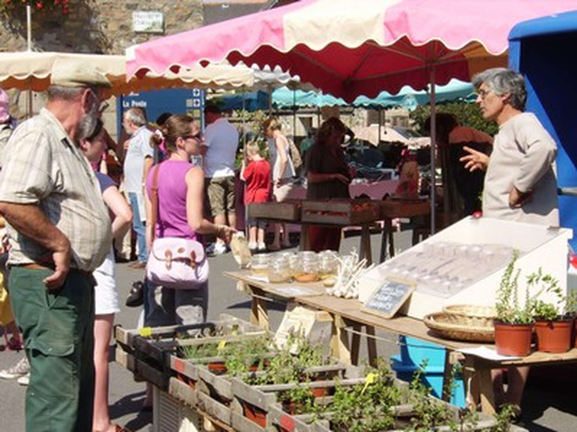 Explorer le marché de Lannion | Office de Tourisme de la Côte de Granit ...
