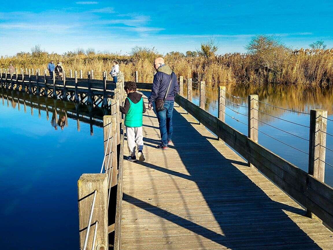 Top 20 des balades nature à Montpellier | Montpellier Tourisme