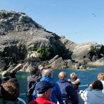 L’archipel des 7 Iles | Office de Tourisme de la Côte de Granit Rose