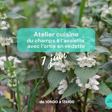 Visite guidée Château de Castries | visiter Castries, Montpellier Tourisme