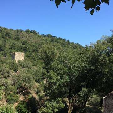 Lac de Saint-Cassien | Provence-Alpes-Côte d'Azur Tourisme