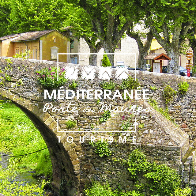 La châtaigne joyeuse (Collobrières) | Provence-Alpes-Côte d'Azur Tourisme