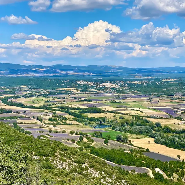 Le Pays de Sault (Sault) | Provence-Alpes-Côte d'Azur Tourisme