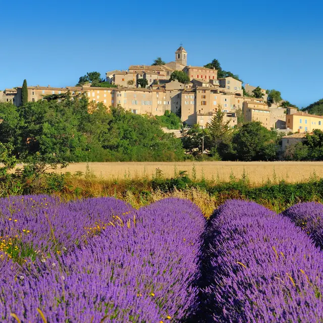 The Chemin des Lavandes (Lavender Path) (Orange) | Provence-Alpes-Côte ...