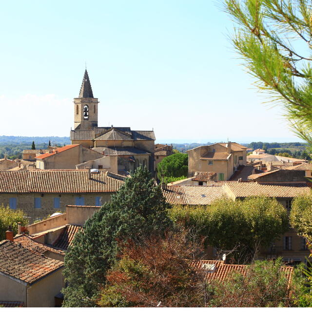 Marché hebdomadaire (Mazan) | Provence-Alpes-Côte d'Azur Tourism
