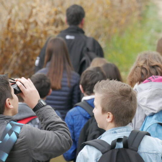 Balade naturaliste au Sentier des vignerons de Violès (Violès ...
